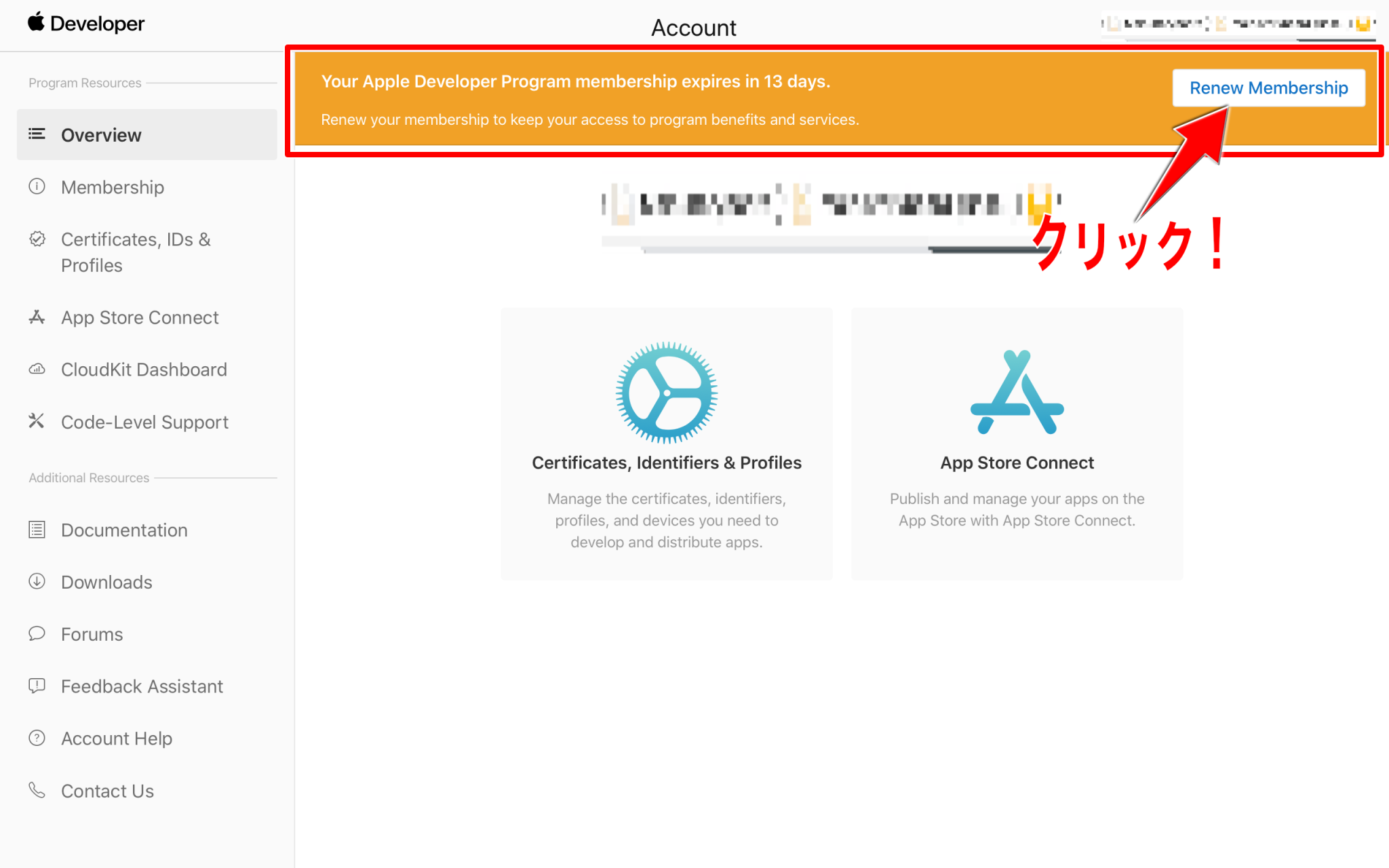 Apple Developer Programメンバーシップ更新 | sunny man